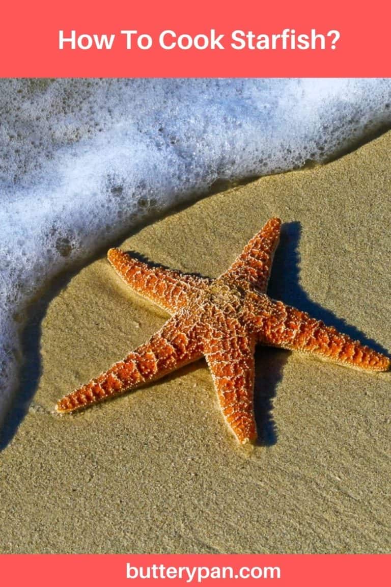 How To Cook Starfish? - ButteryPan